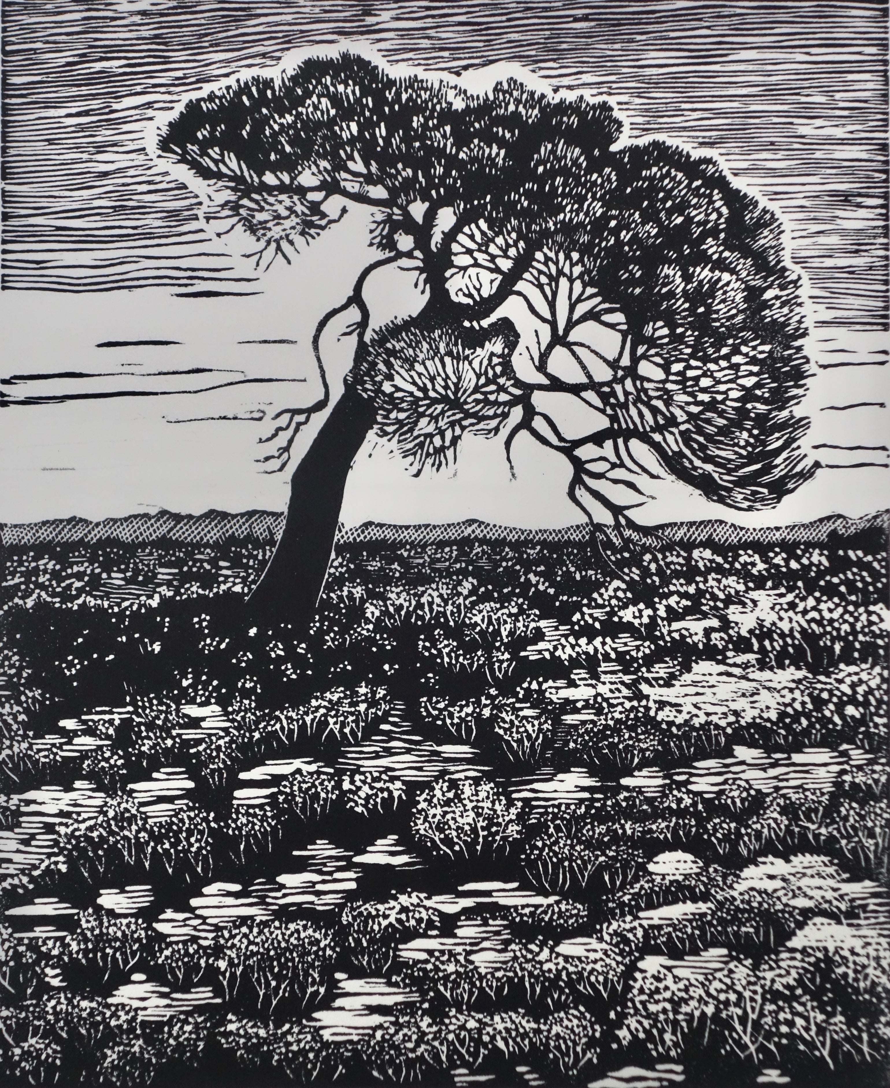 Chris Lawry – PG Gallery