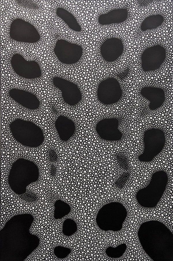 David Nixon – PG Gallery