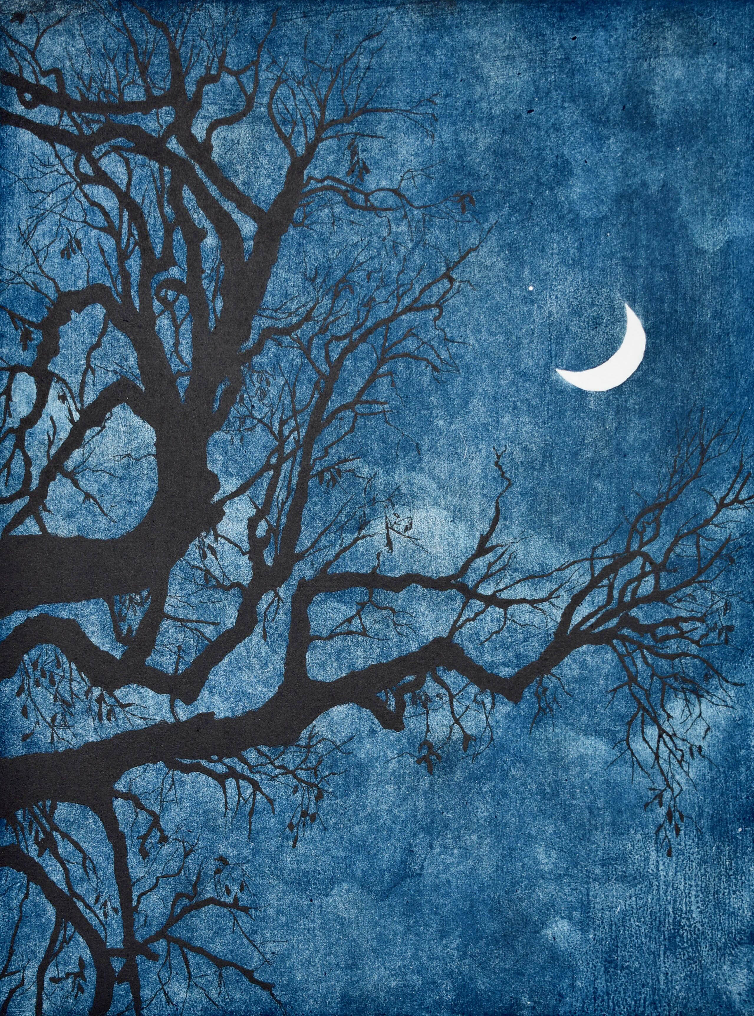 Elizabeth Hickey 'Crescent Moon' – PG Gallery
