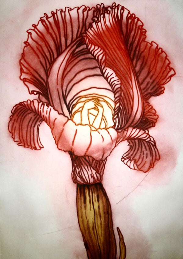 Mandy Renard 'Dance me through the curtains' – PG Gallery